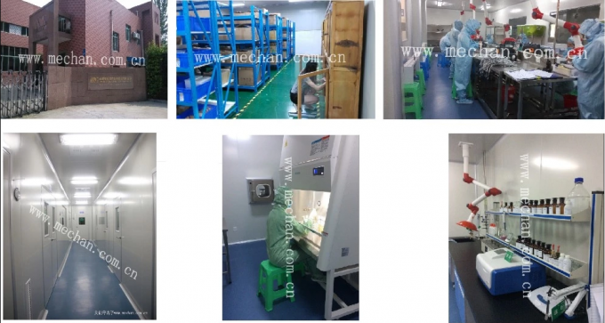 Mechan New Generation of Plasma Generator for Minimally Invasive ENT ...