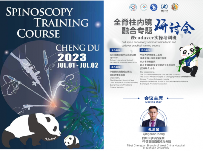 RF Plasma Coblator Ⅱ Bipolar Electrode For Hip/Knee Repair-Ligament ...